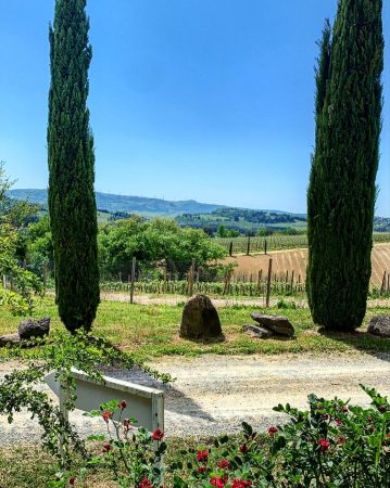 Le Palaie Bulizio IGT Toscana - Panebianco Wines
